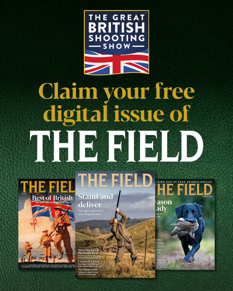 British Shooting Show Tickets » Shooting Show